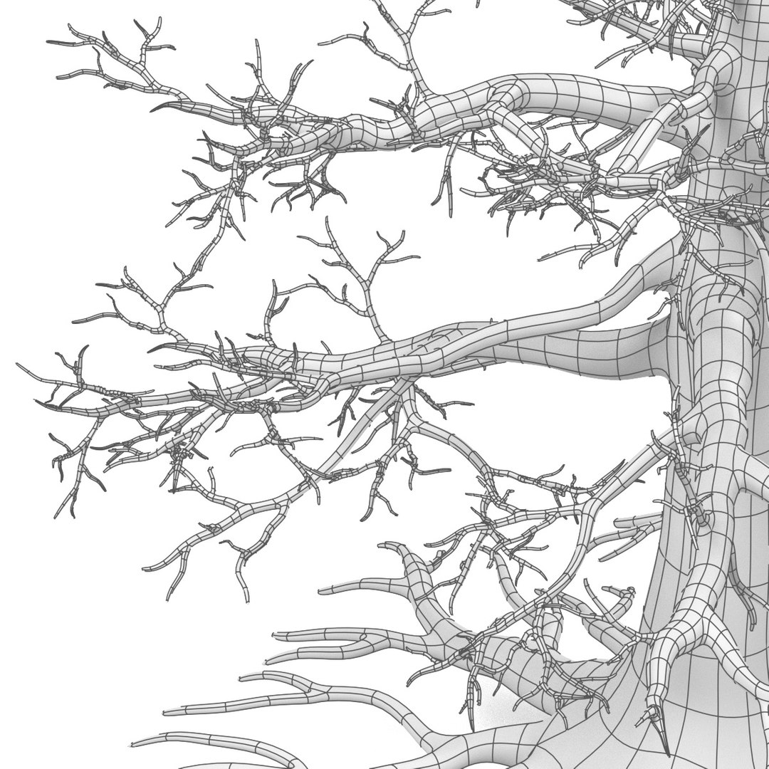 Dead Old Oak Tree 3d Model