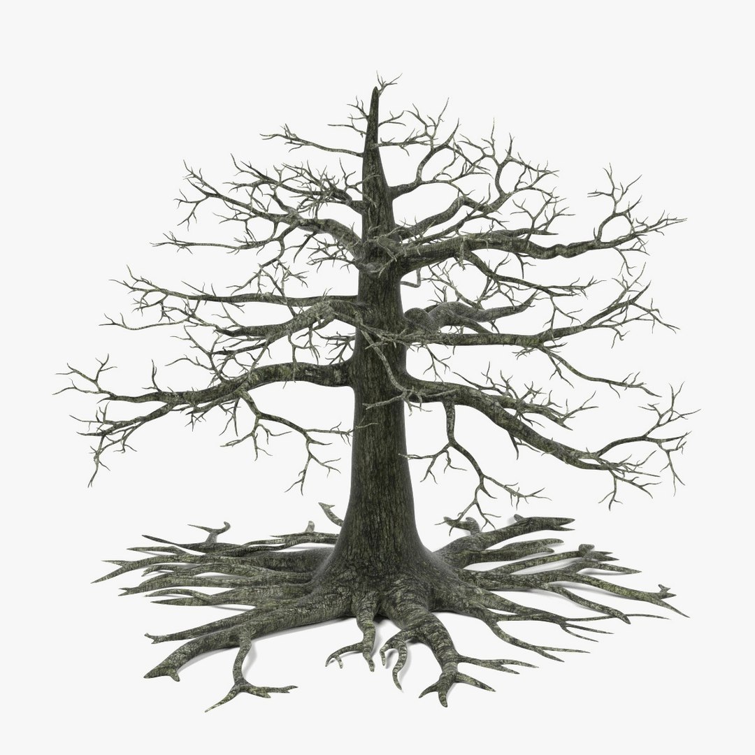 Dead Old Oak Tree 3d Model