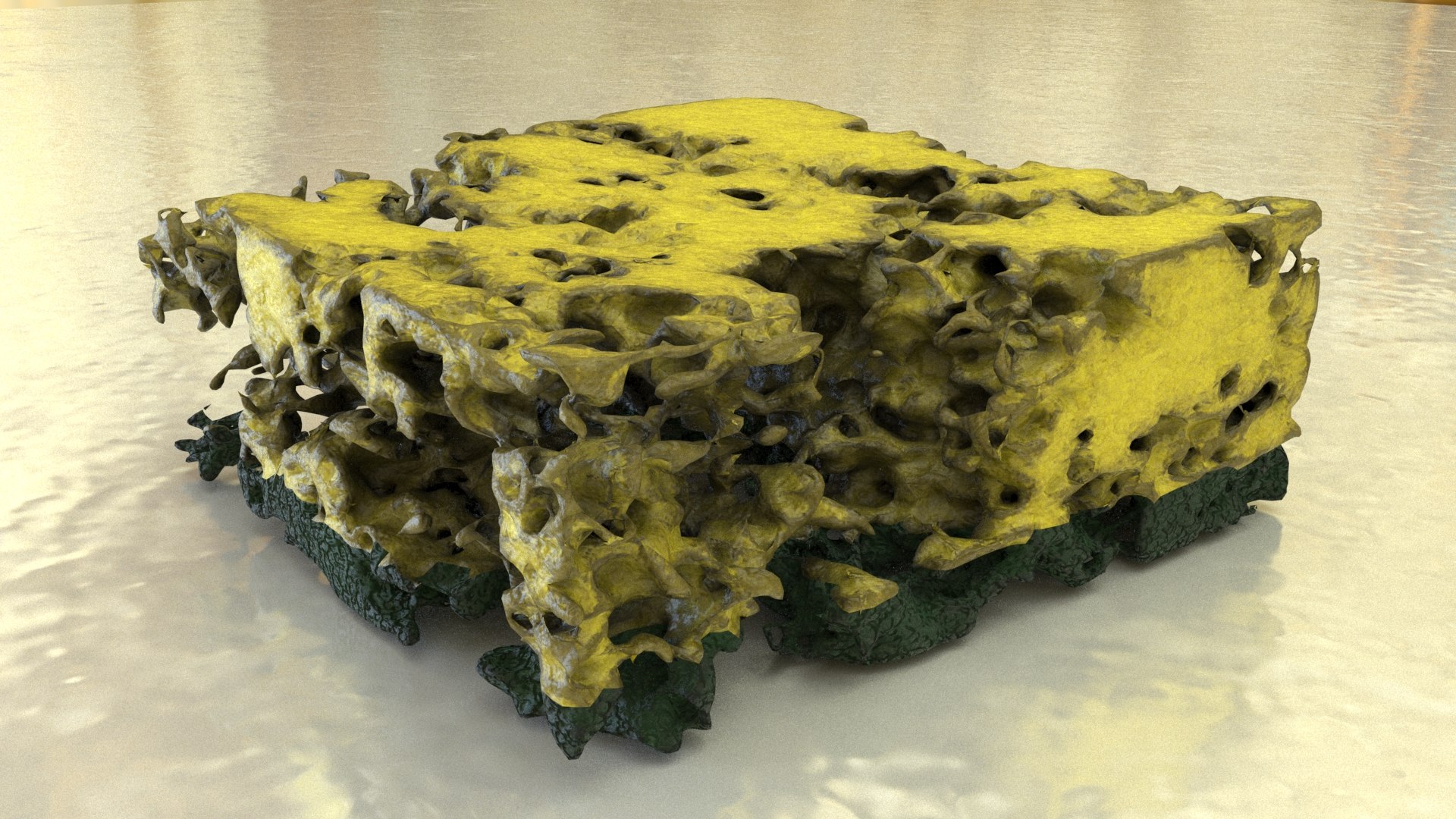 Sponge Spoiled 3D Model - TurboSquid 1693528