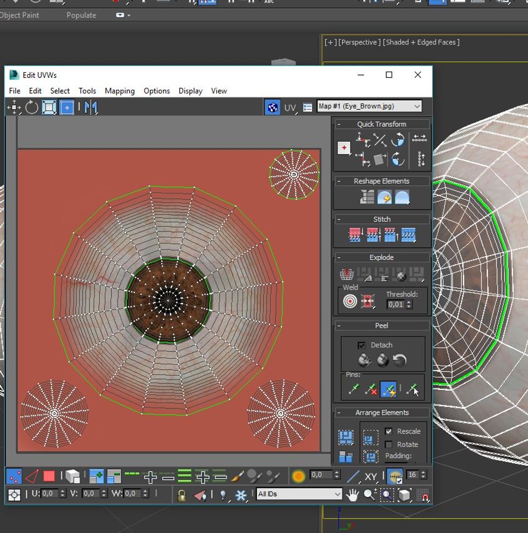 3d Human Brown Eye