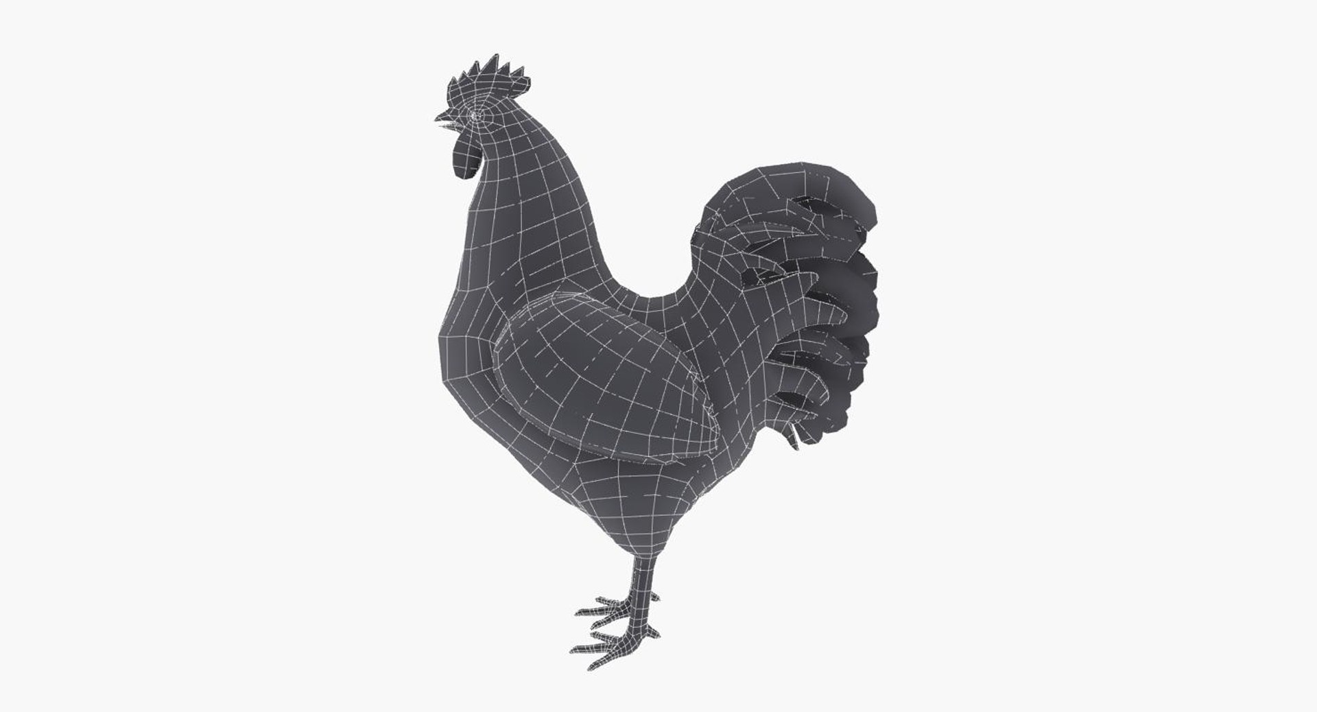 Rooster 3d Model