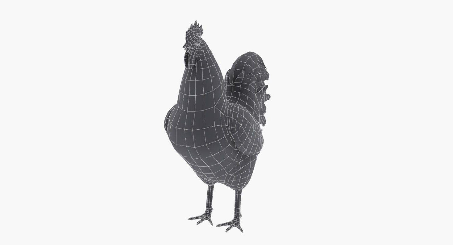 Rooster 3d Model