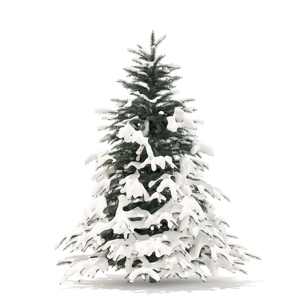 Spruce Tree Snow 2 3D Model - TurboSquid 1273641
