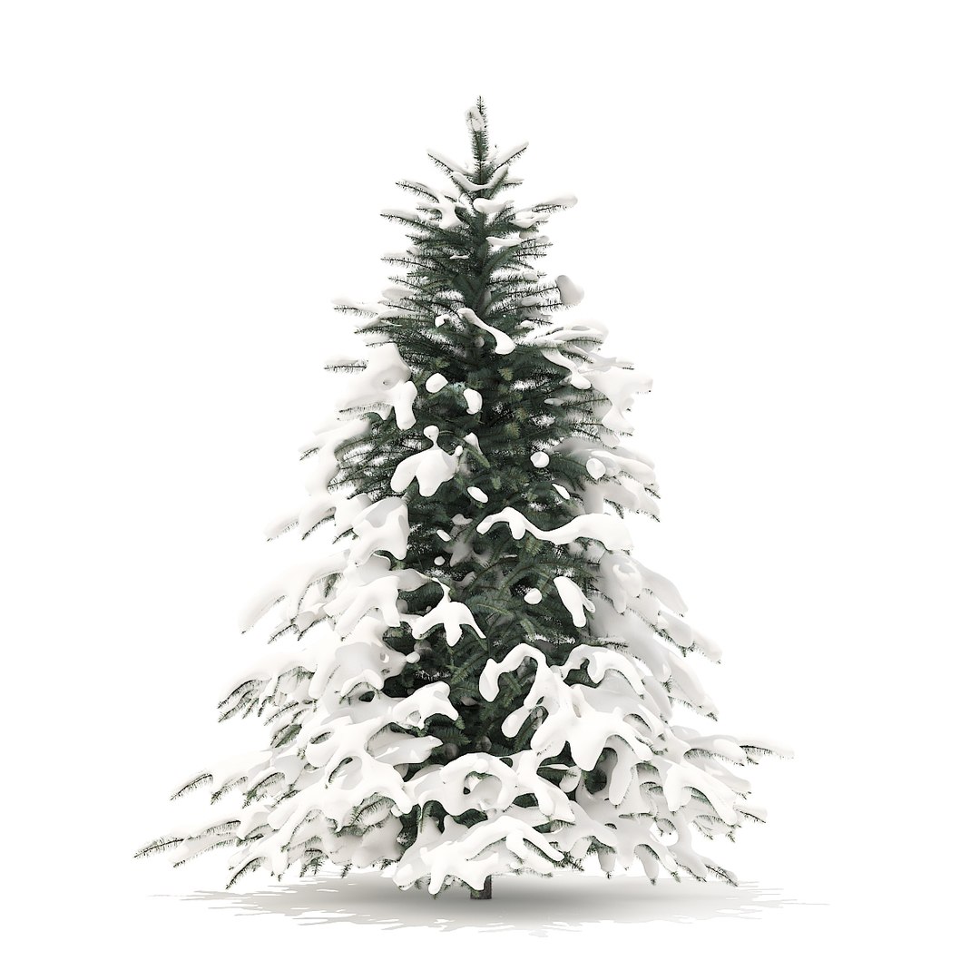 Spruce Tree Snow 2 3D Model - TurboSquid 1273641