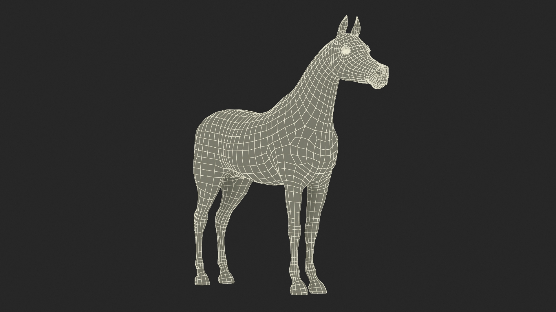 Arabian Horse Gray Dappled Fur 3D Model - TurboSquid 2178027