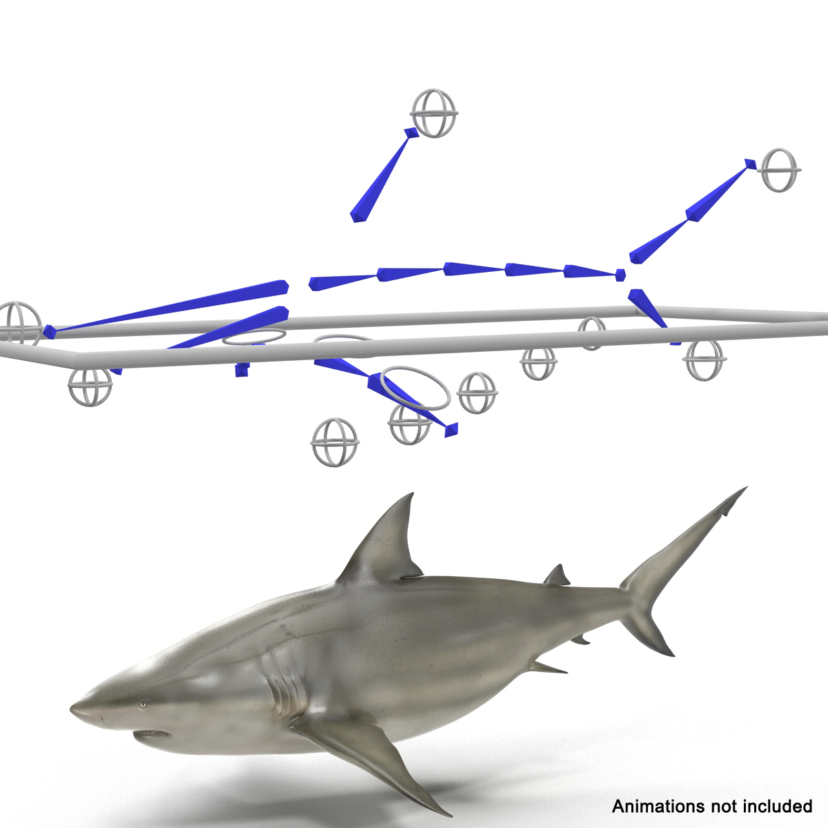 modelo 3d Rigged Sharks Big Collection - TurboSquid 1482350