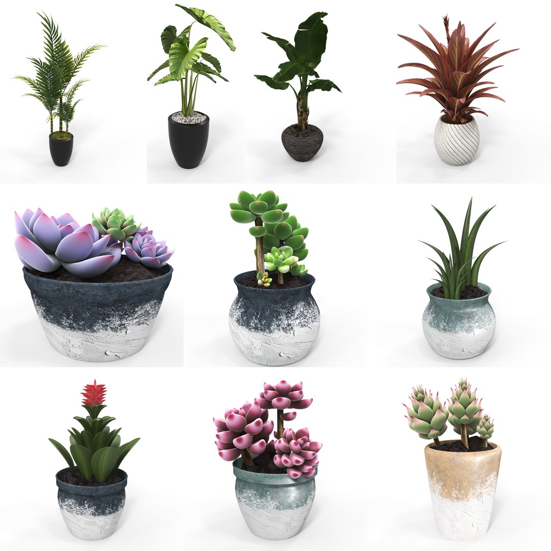 Plant Pot 3D Model - TurboSquid 1563634