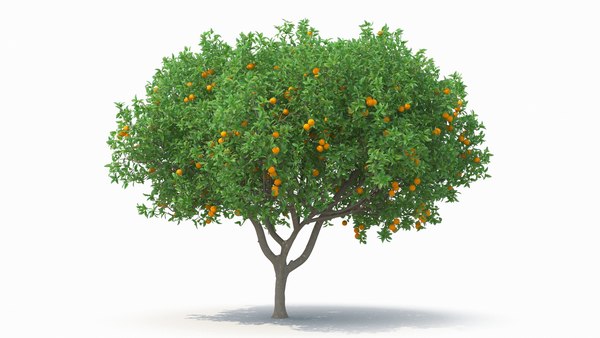 Fruit Trees Collection 2 3D model - TurboSquid 1818806