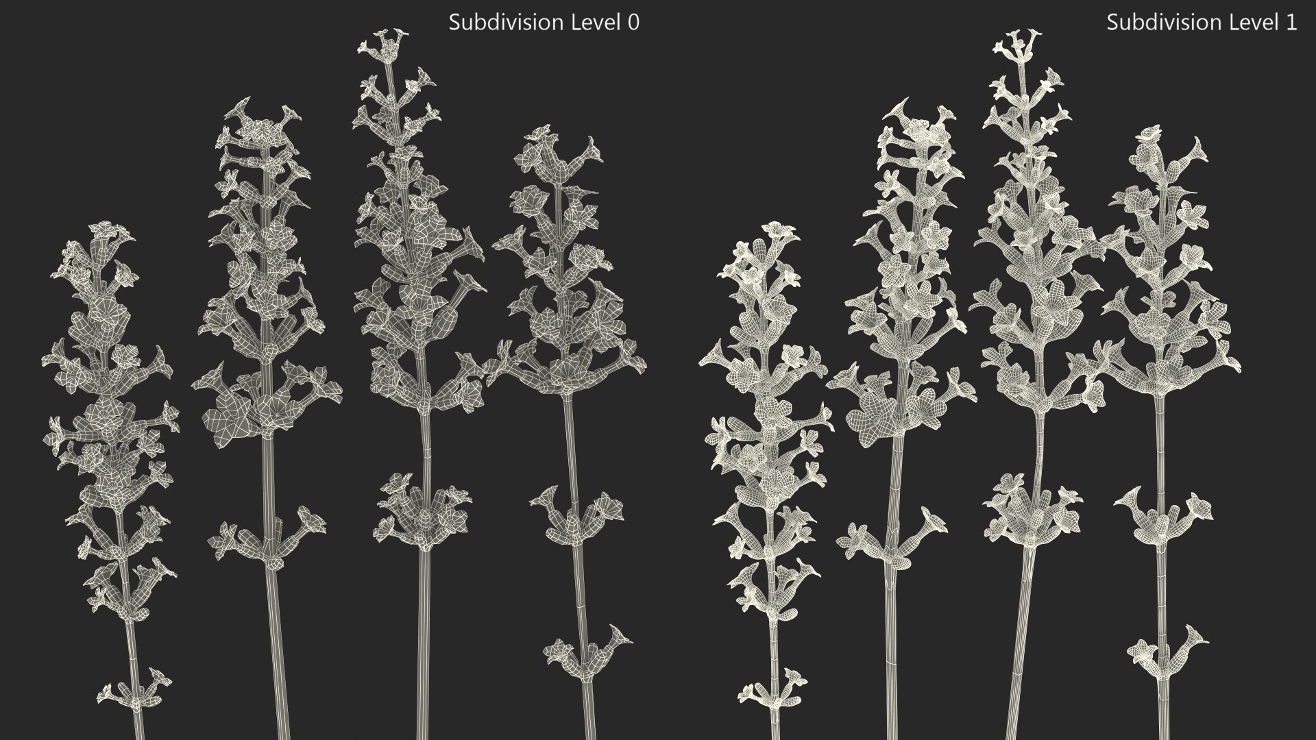 Garden Lavender Set 3D Model - TurboSquid 2191661
