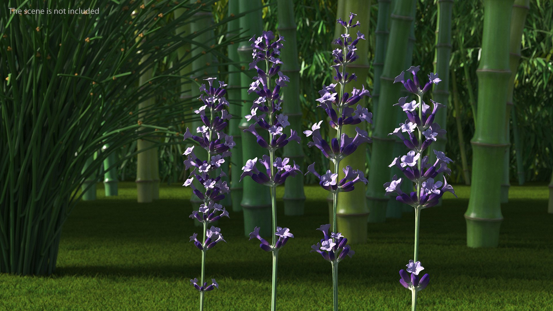 Garden Lavender Set 3D Model - TurboSquid 2191661