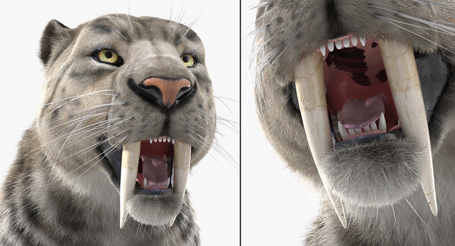 3D Arctic Saber Tooth Cat Fur Model - TurboSquid 1329317