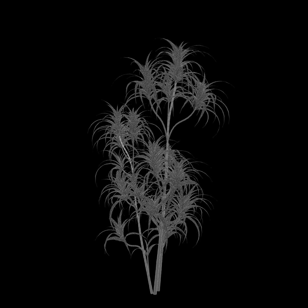Yucca 1600 A 3D Model - TurboSquid 1824676