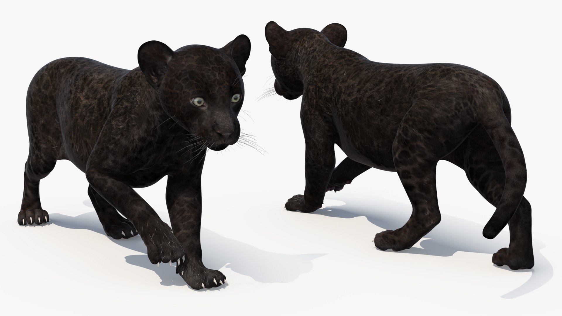Panther Cub Wary Pose For 3D Print 3D Model - TurboSquid 2352573