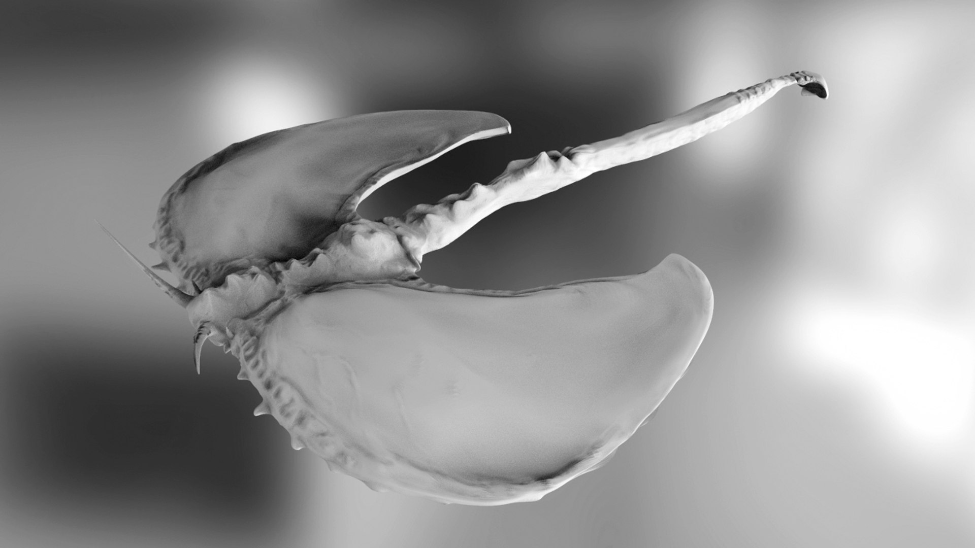 X Creatures Manta Monster