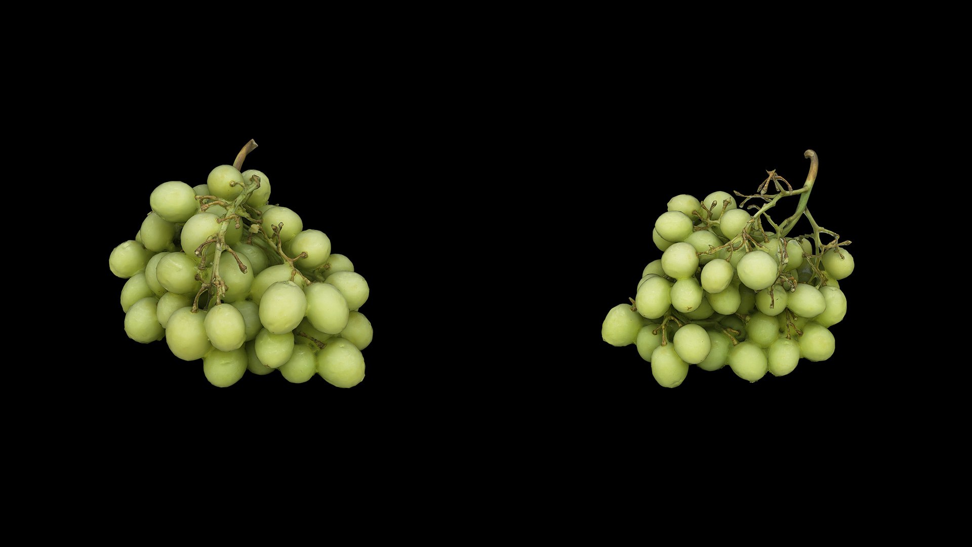 3D Grape Collection 01 - TurboSquid 2141125