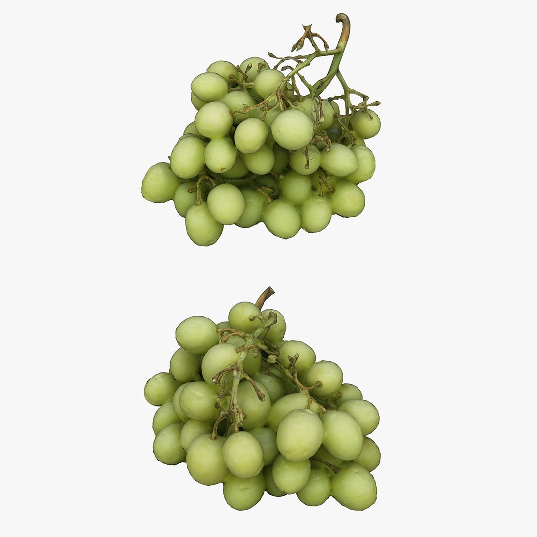 3D Grape Collection 01 - TurboSquid 2141125