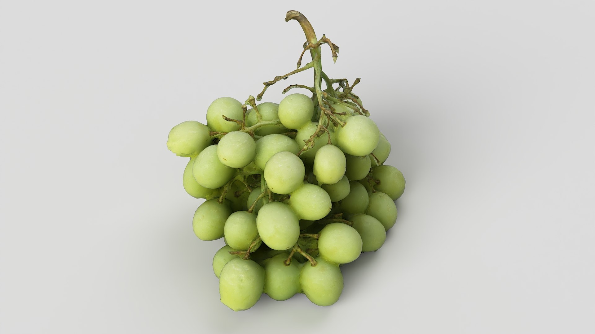 3D Grape Collection 01 - TurboSquid 2141125