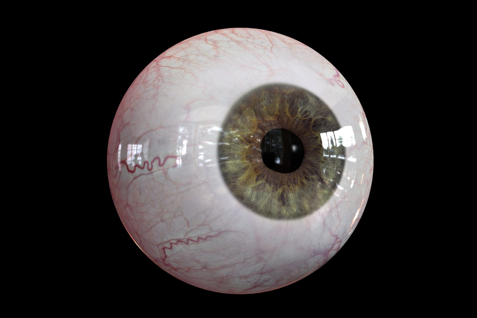Realistic human eye 3D - TurboSquid 1335955