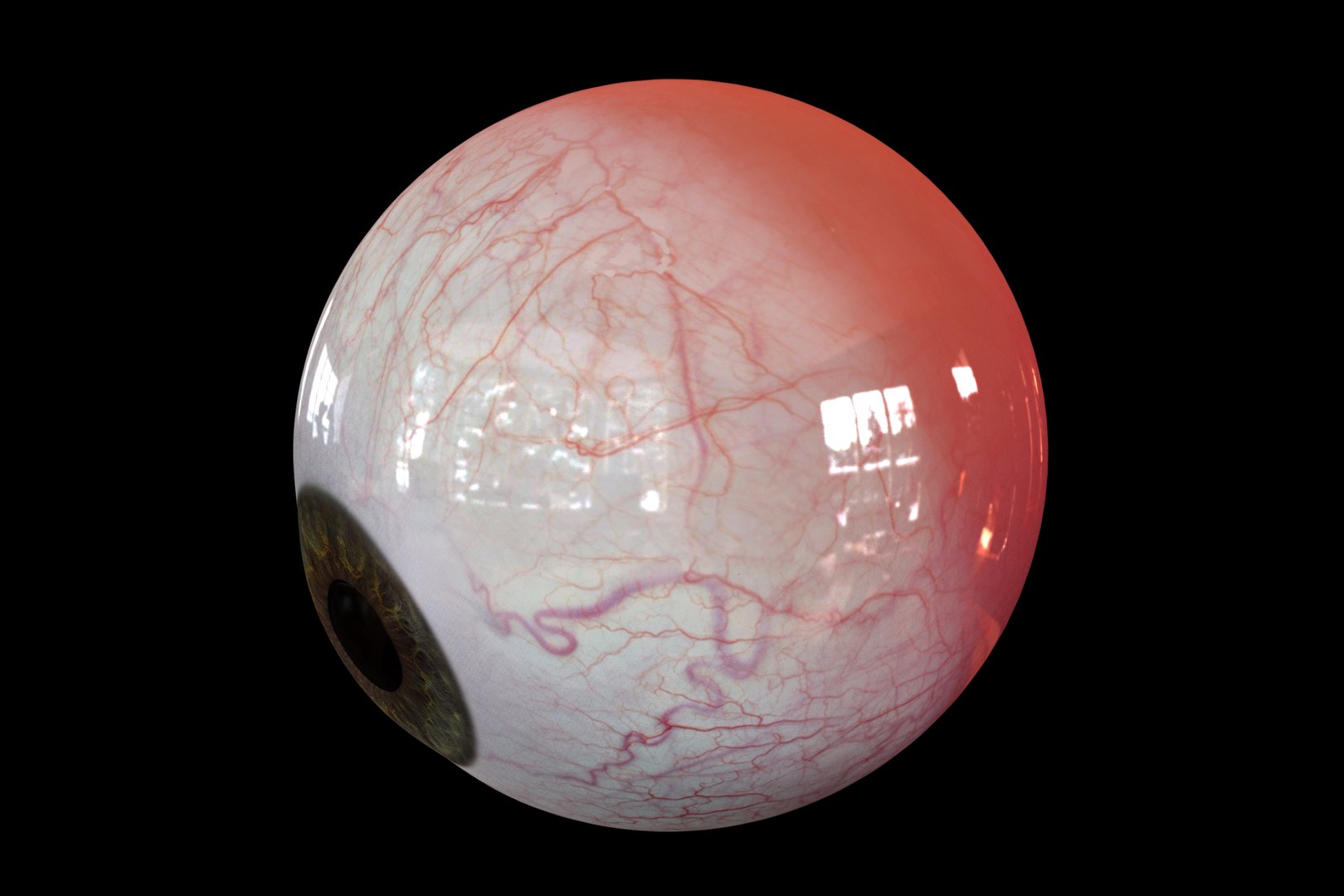 Realistic human eye 3D - TurboSquid 1335955