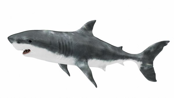 Realistic shark rigged model - TurboSquid 1484180