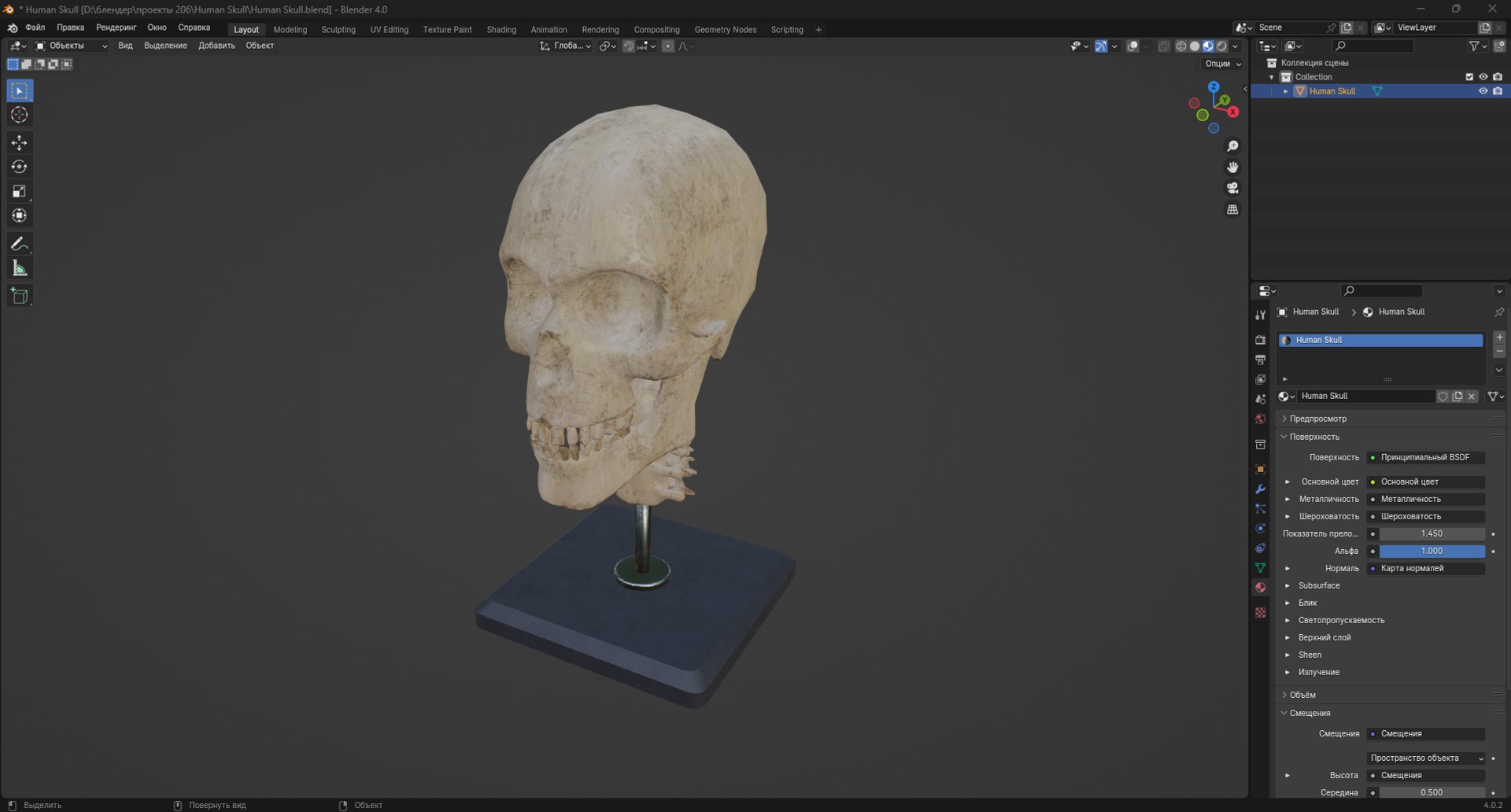 Human Skull 3D Model - TurboSquid 2174377