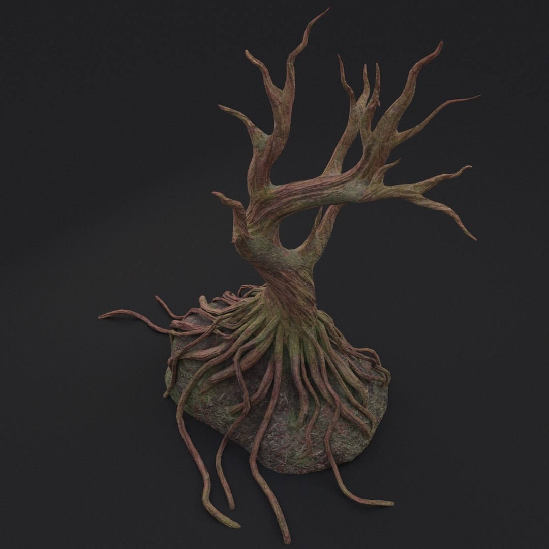 3D Old Tree Model - TurboSquid 1410303