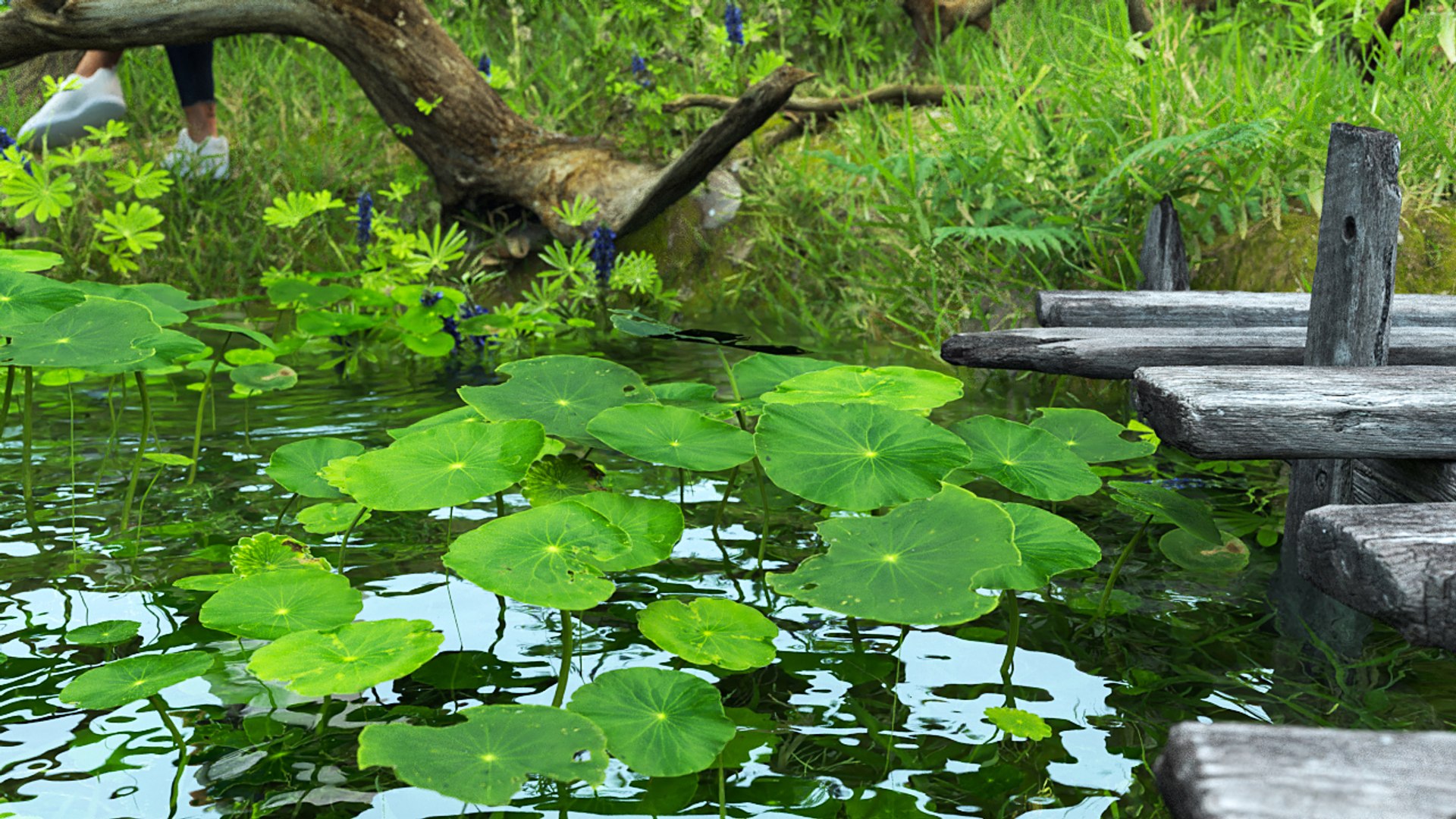 Nature Landscape - Full Model Sketchup - V-ray Render 3D Model ...