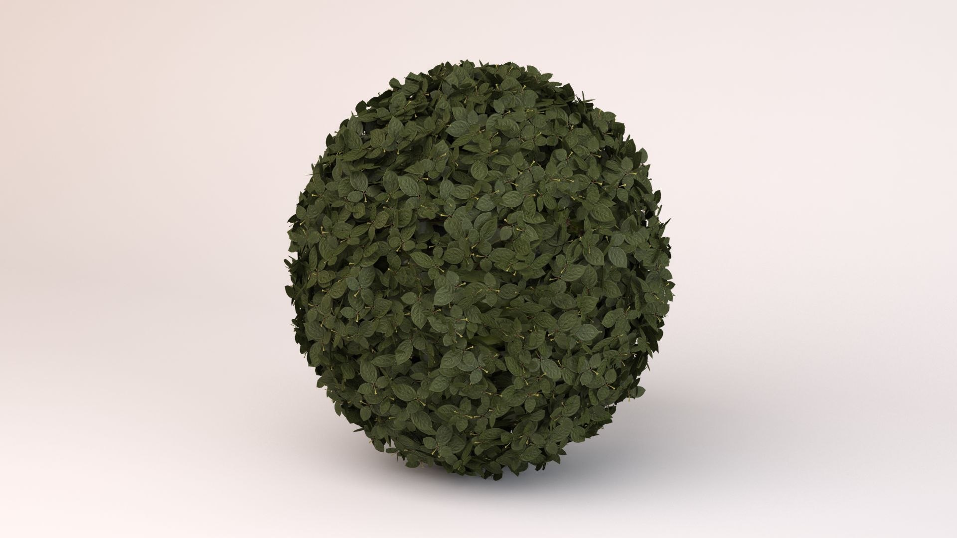Ball Shrub Topiary 3D Model - TurboSquid 1656009