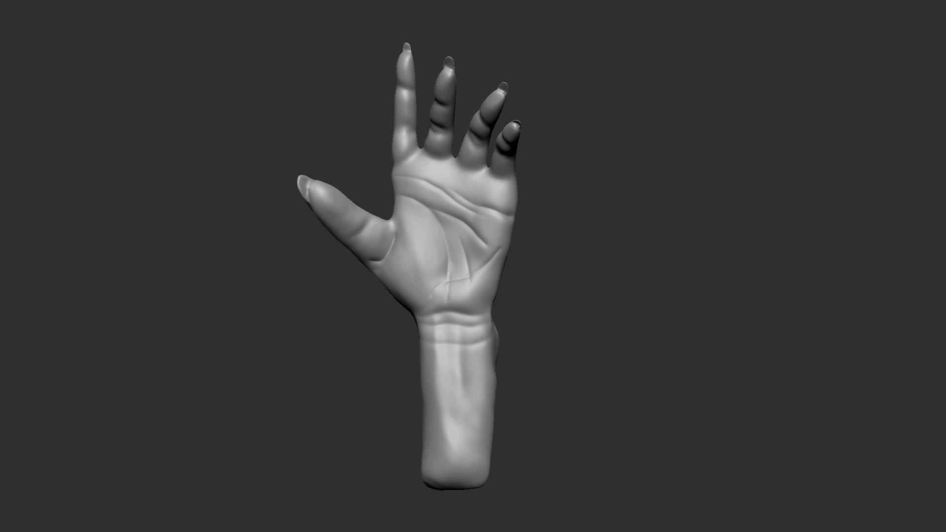 Hand 3D Model - TurboSquid 1927331