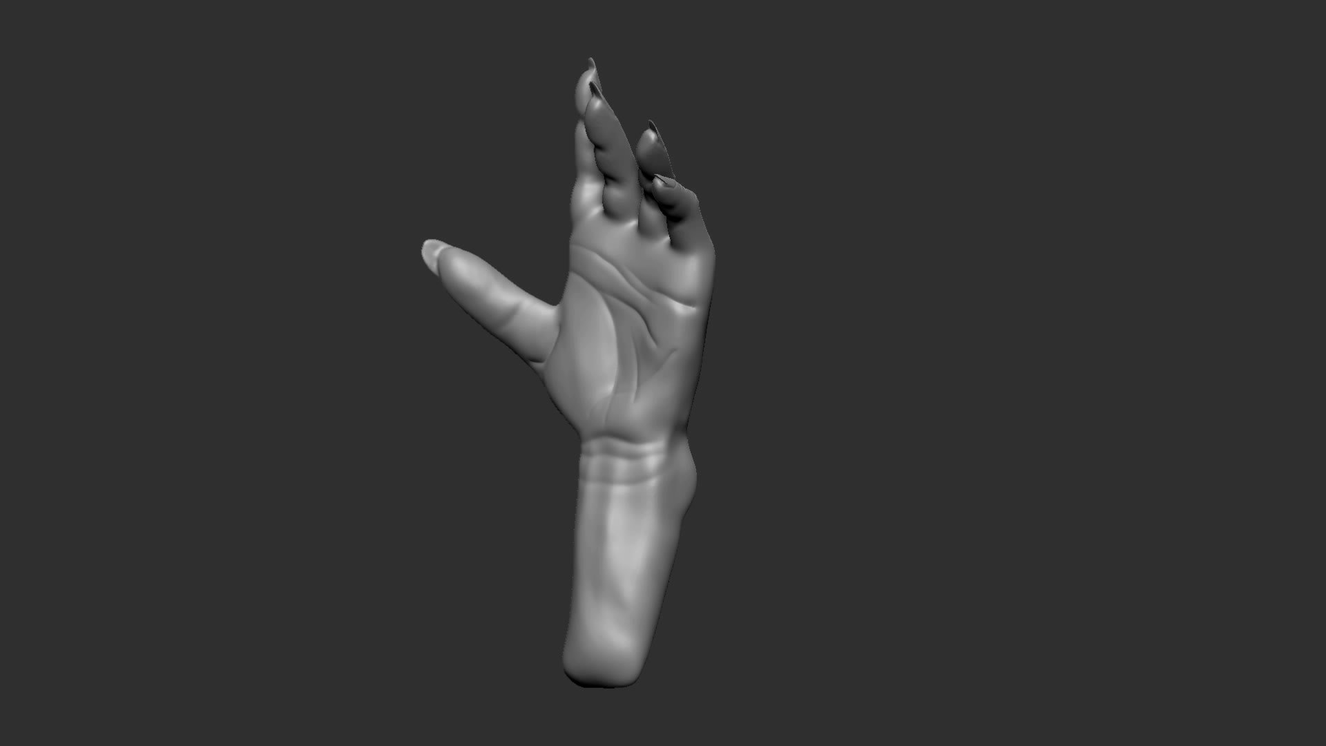Hand 3D Model - TurboSquid 1927331