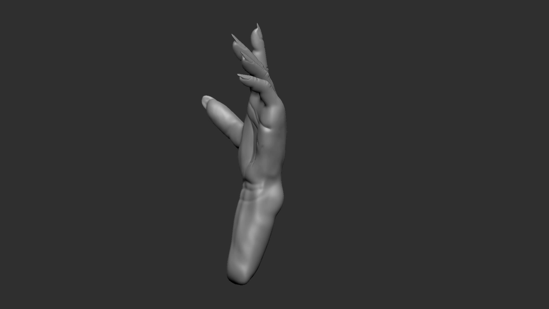Hand 3D Model - TurboSquid 1927331
