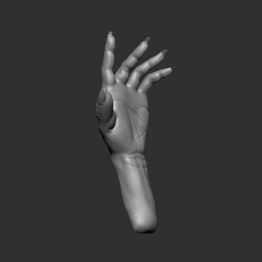 Hand 3D Model - TurboSquid 1927331