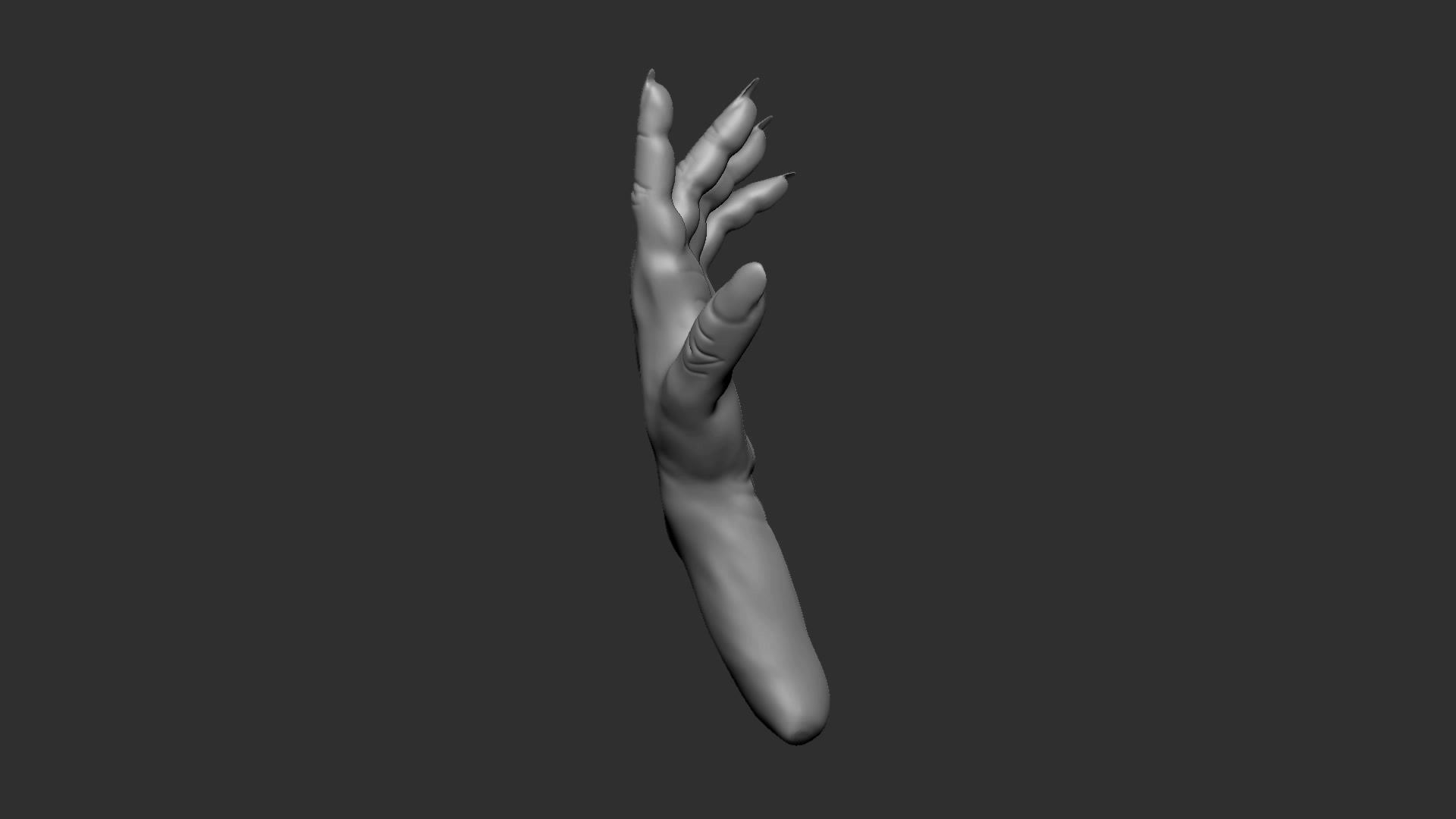 Hand 3D Model - TurboSquid 1927331