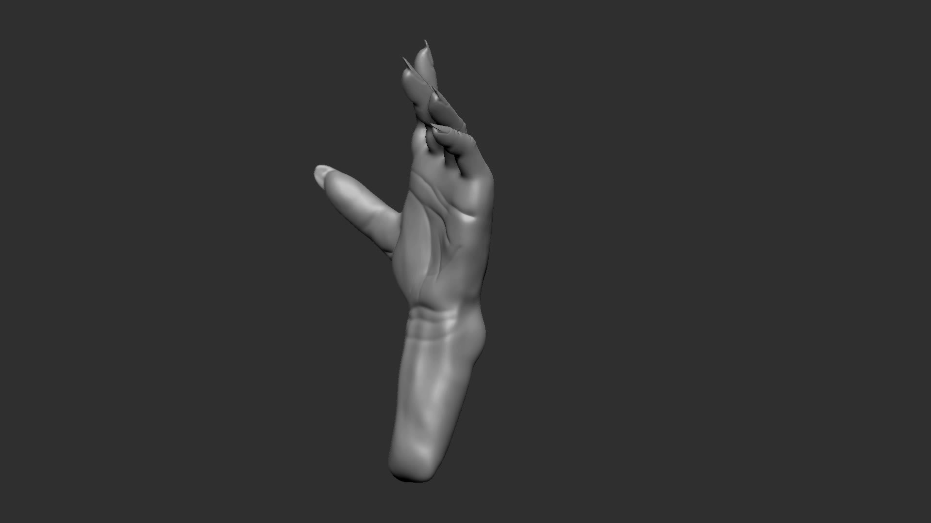 Hand 3D Model - TurboSquid 1927331