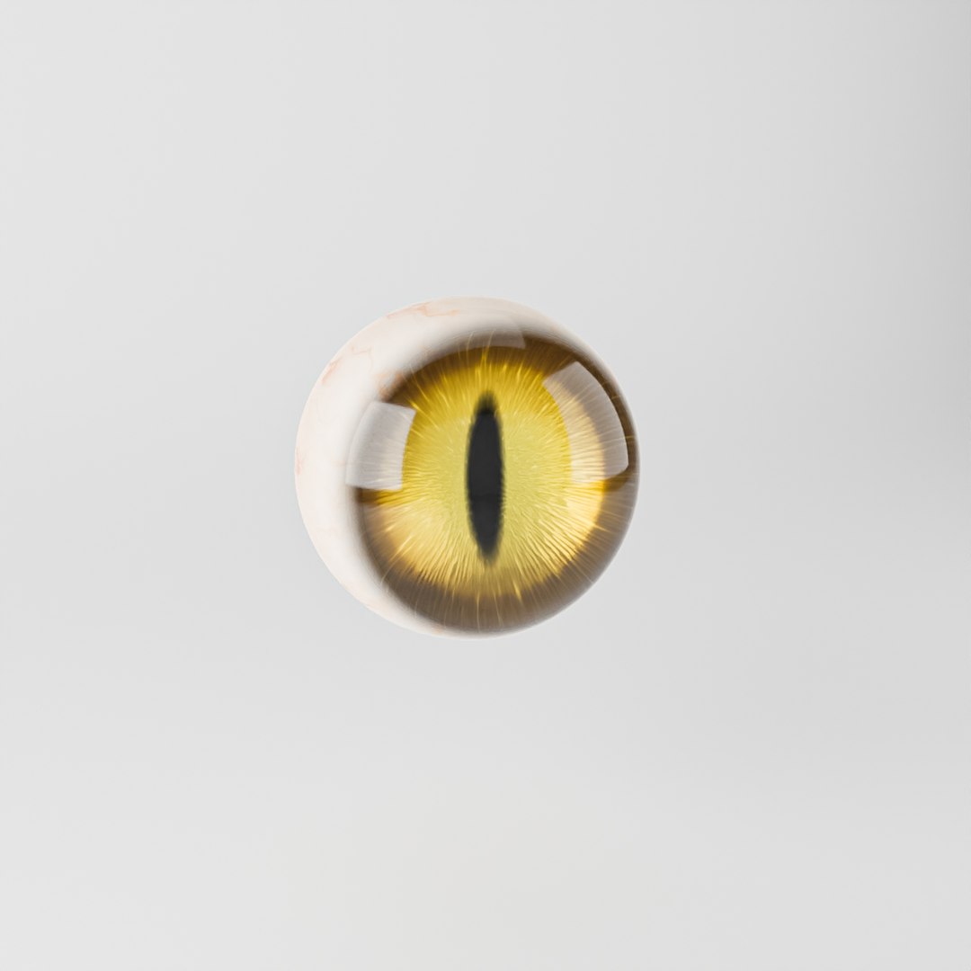 3D Cat Eye Model - TurboSquid 1866904