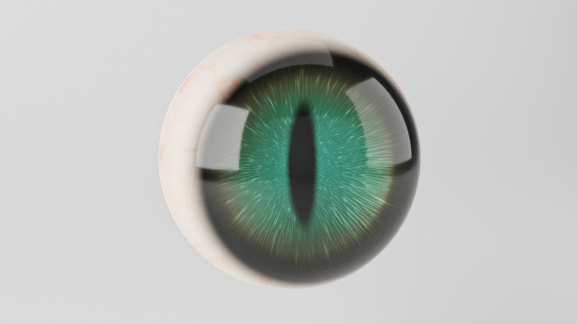 3D Cat Eye Model - TurboSquid 1866904