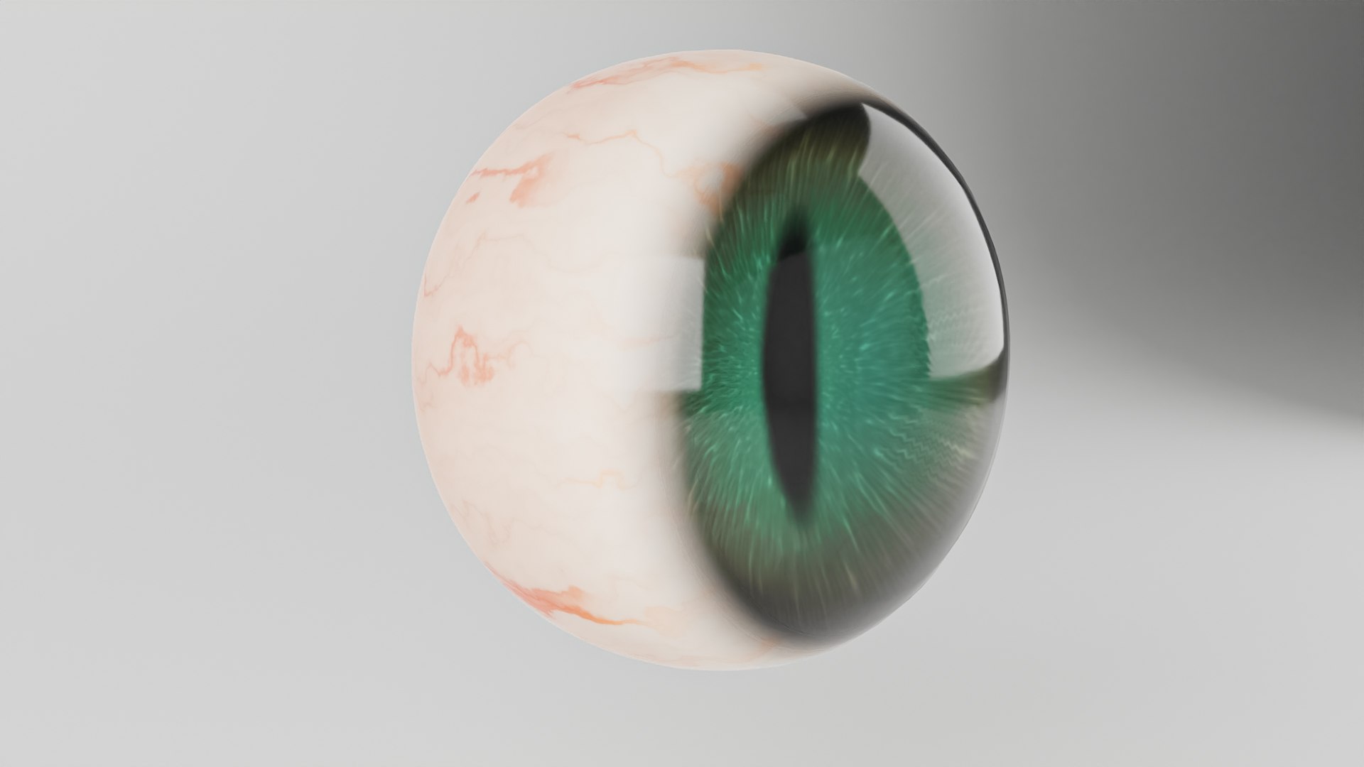 3D Cat Eye Model - TurboSquid 1866904