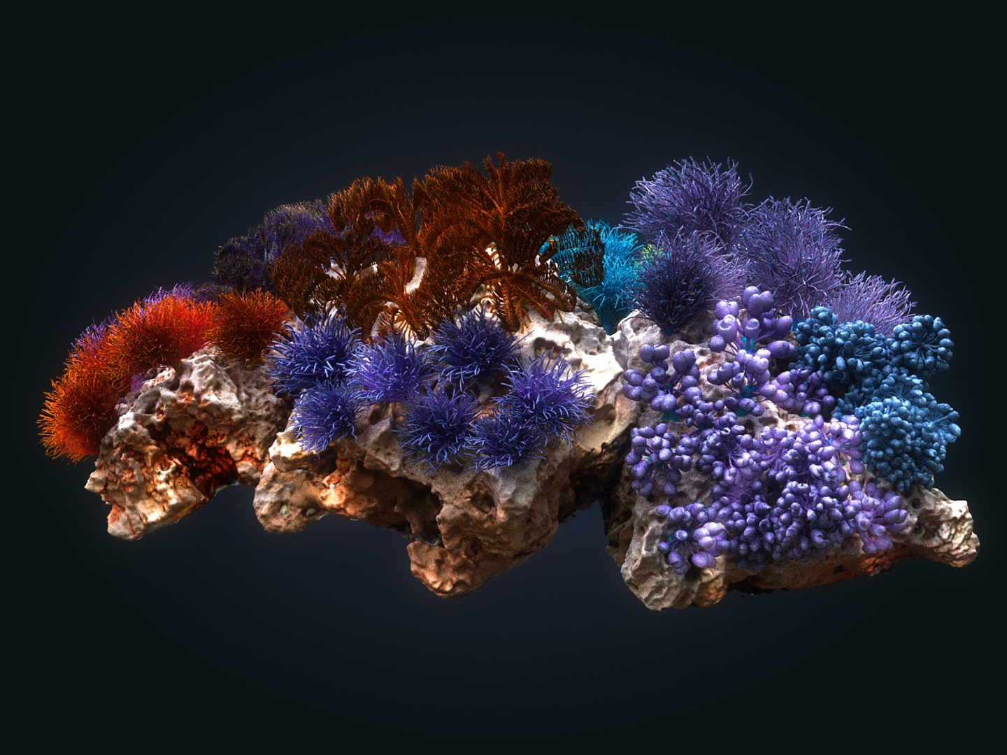Coral Reef Ecosystem 3D Model - TurboSquid 1368240