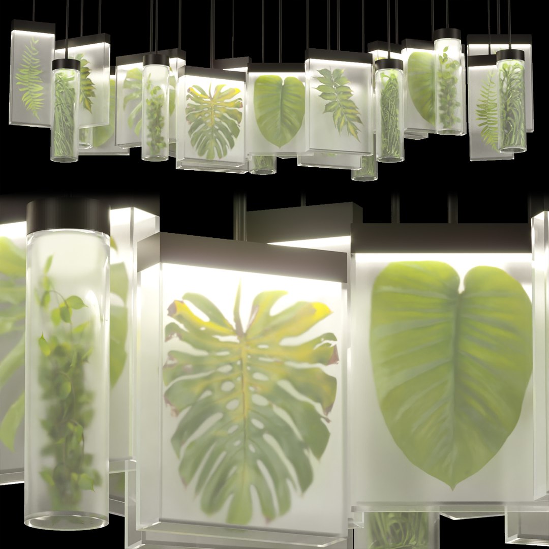 3D Hanging Lightbox Plants Collection Vol 141 Model - TurboSquid 1984187