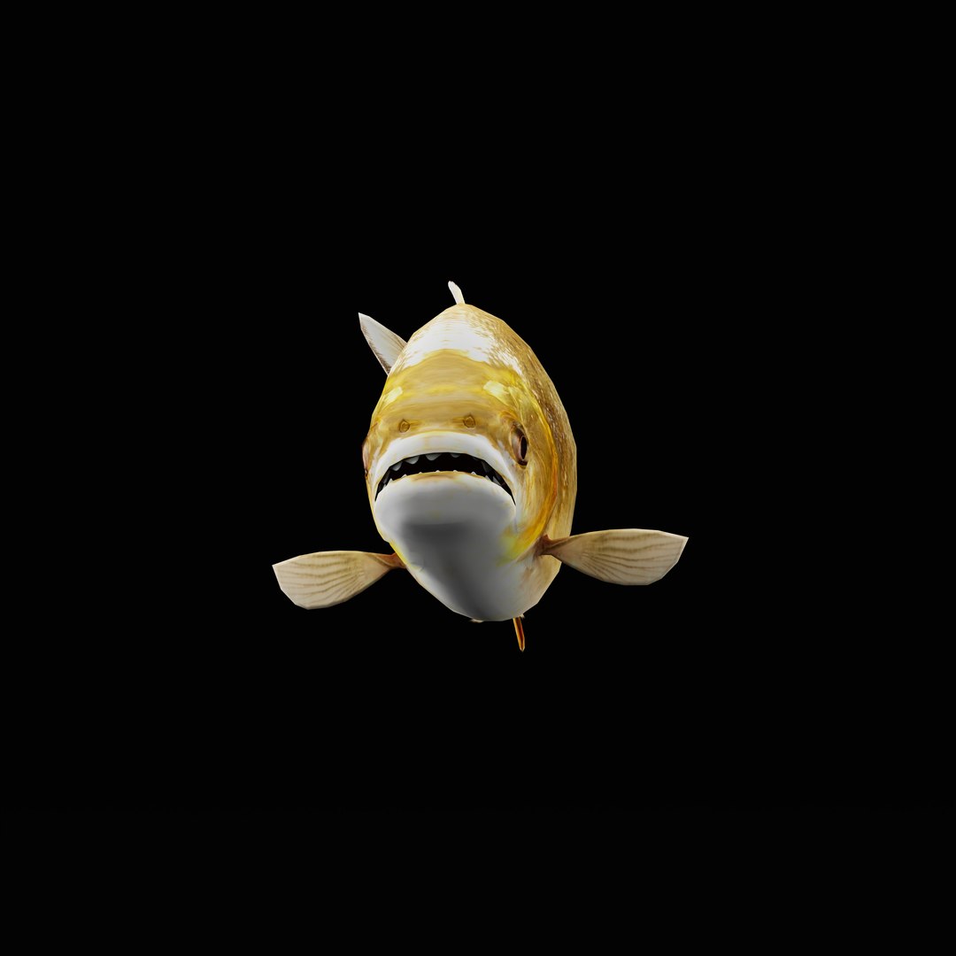 Black Piranha Fish 3D Model - TurboSquid 2342853