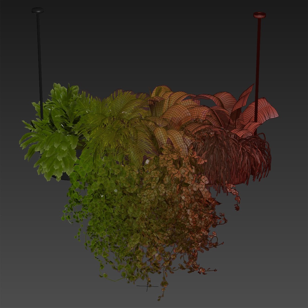 Collection plant vol 510 - ampelous - hanging - monstera - chandelier ...