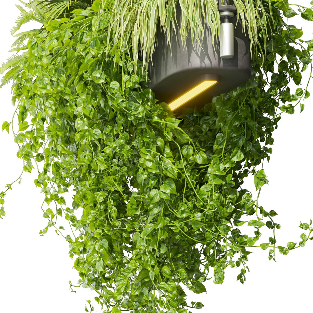 Collection plant vol 510 - ampelous - hanging - monstera - chandelier ...