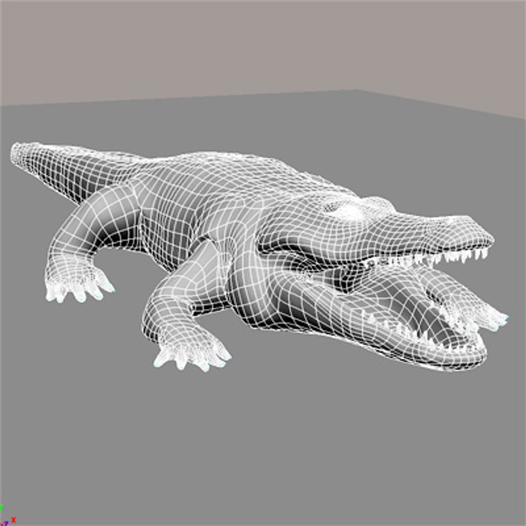 Crocodile Aligator Max