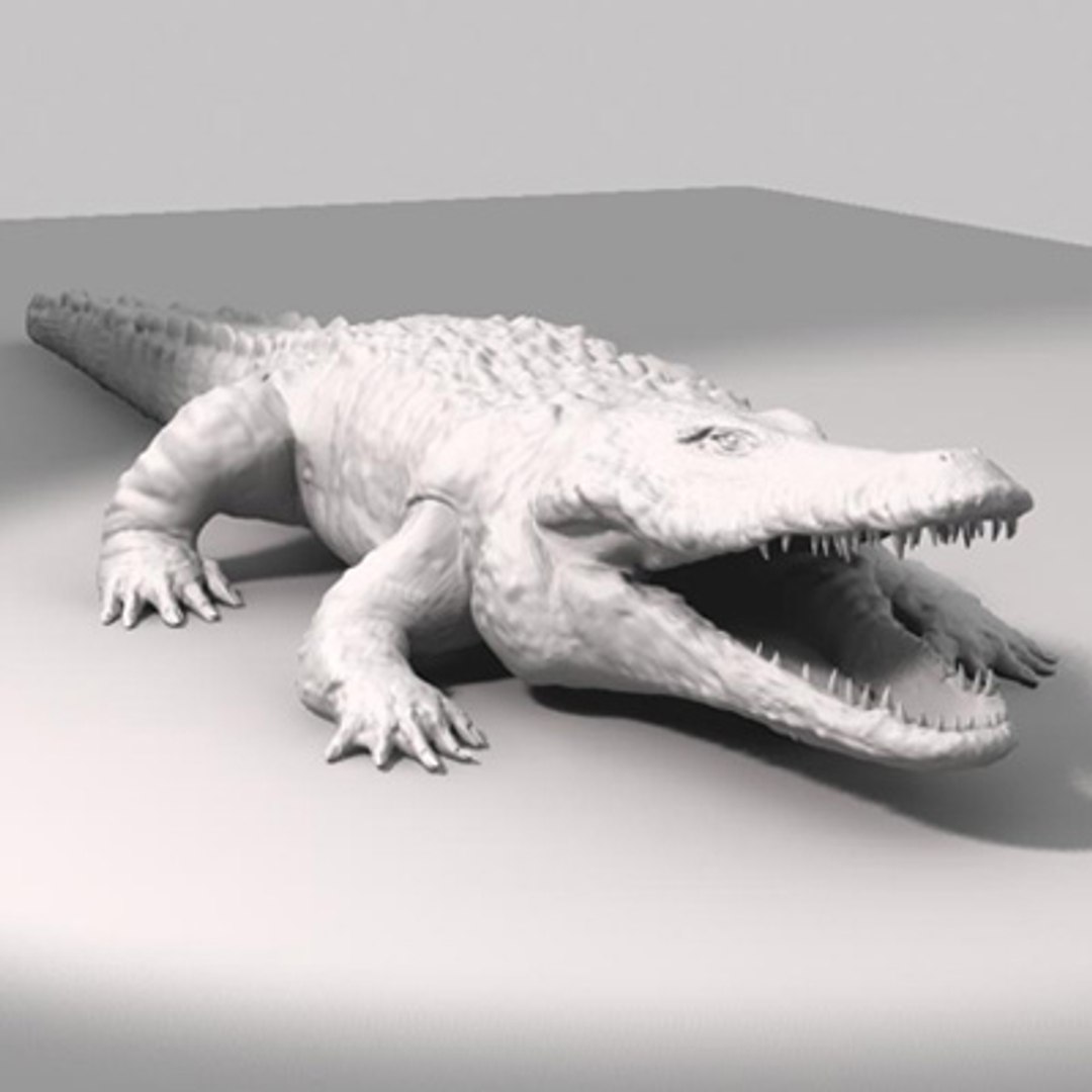 Crocodile Aligator Max