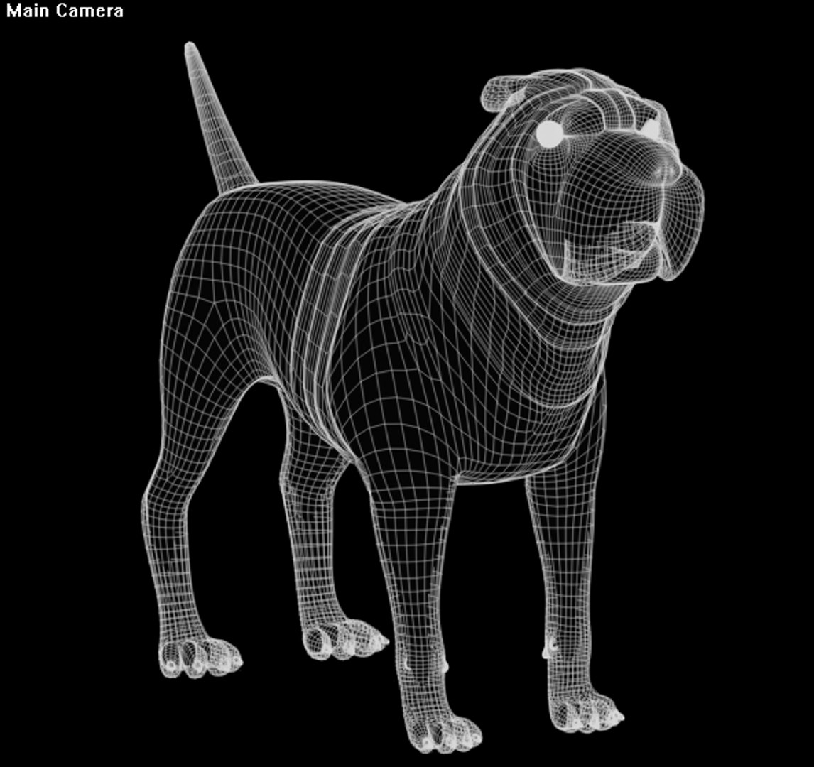 3d Model Dogs Canine