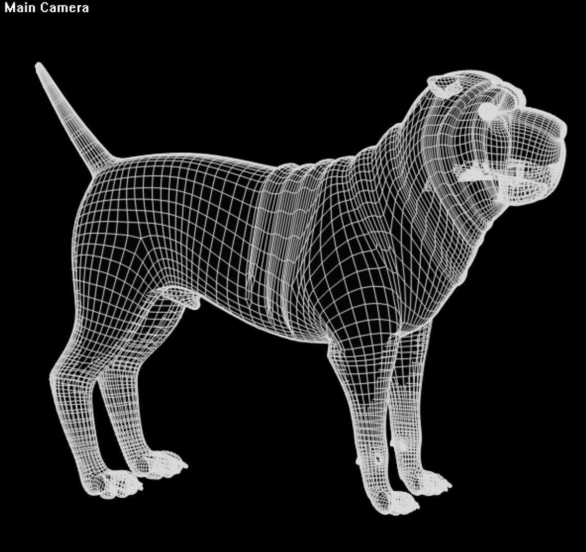 3d Model Dogs Canine