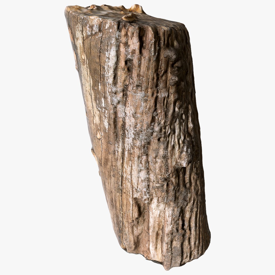 3D scanned stump - TurboSquid 1487688