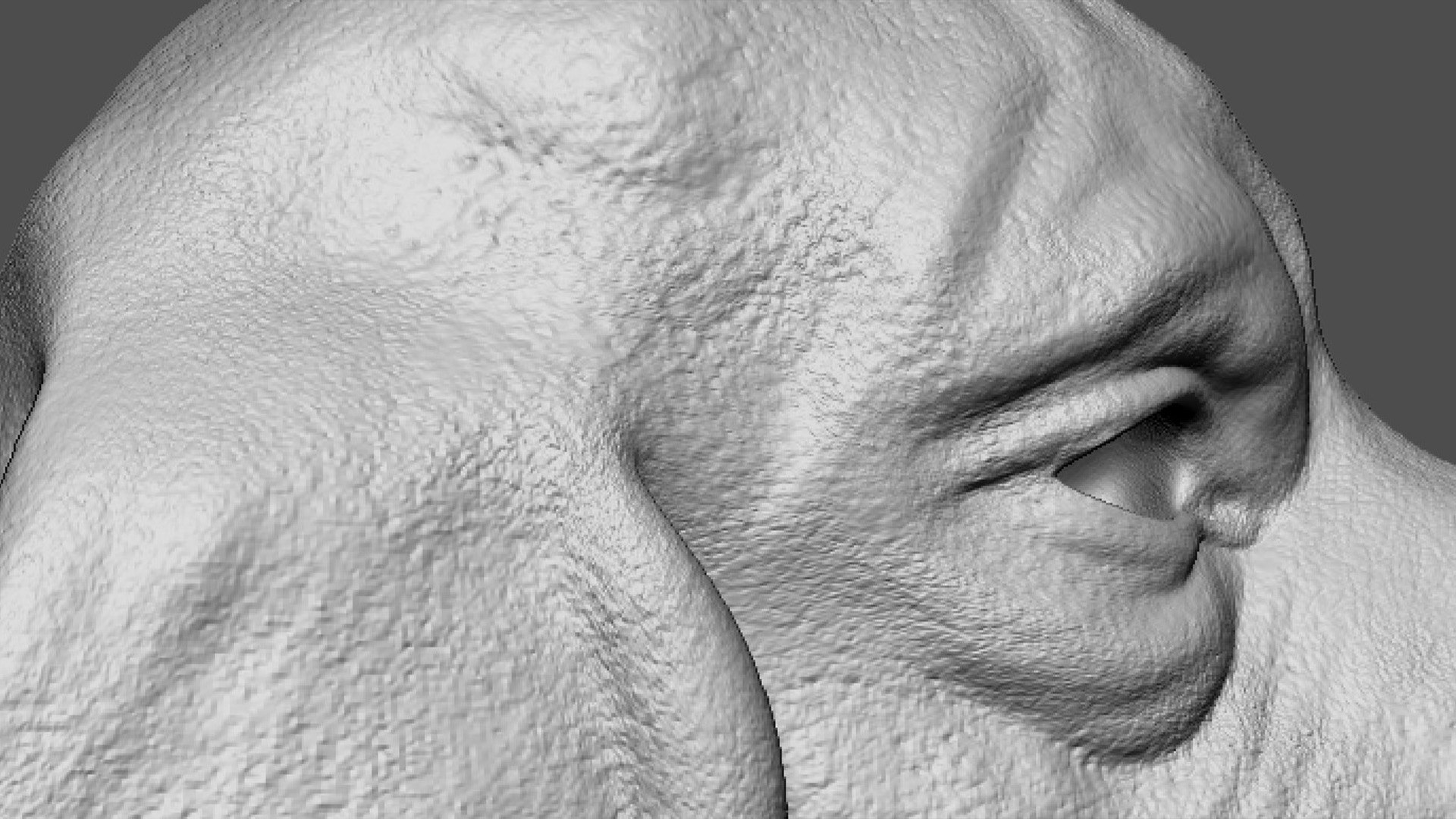 3D Beagle Dog VFX Zbrush Sculpt Model - TurboSquid 1863233