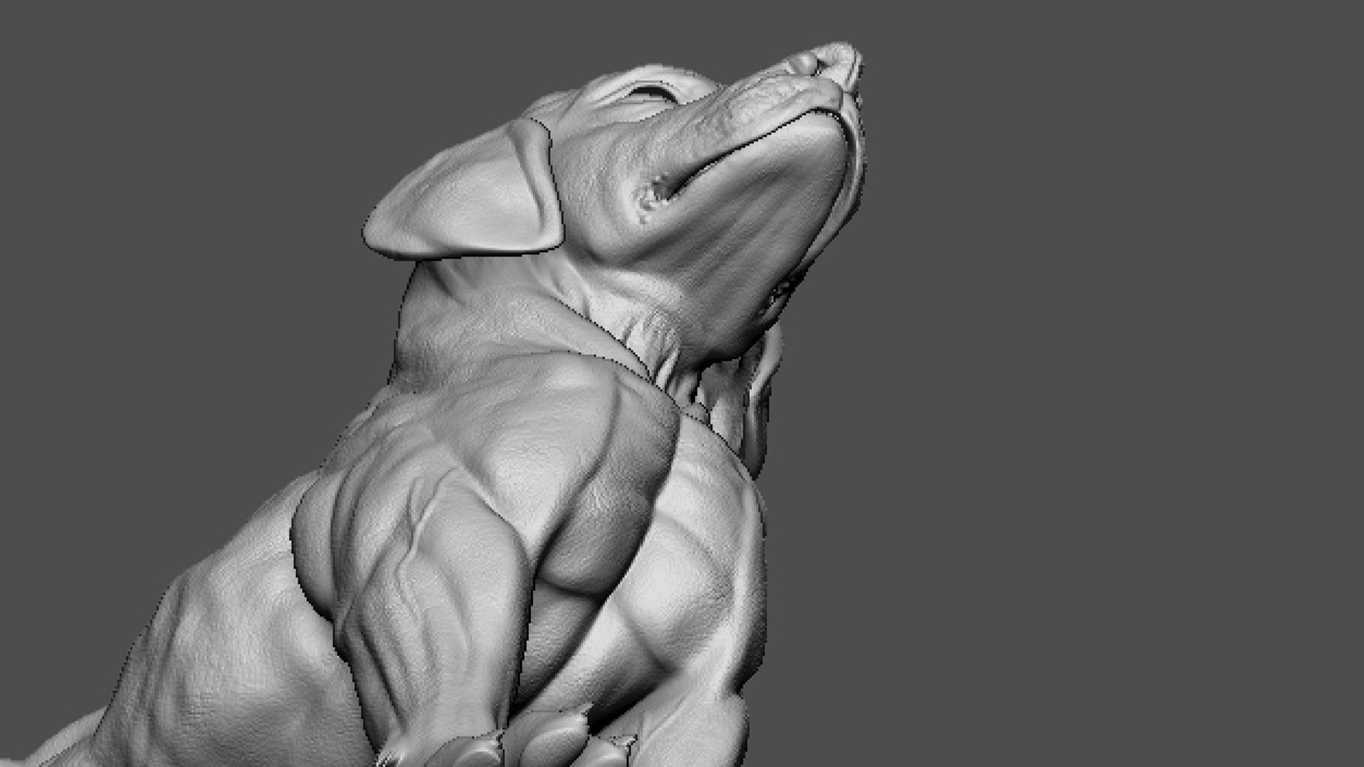 3D Beagle Dog VFX Zbrush Sculpt Model - TurboSquid 1863233