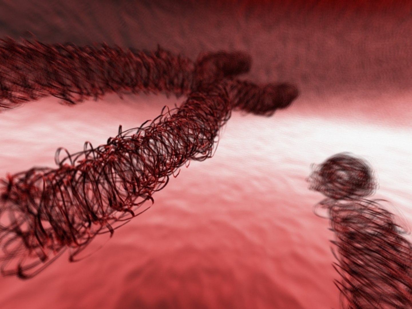 3d Xy Chromosome 2